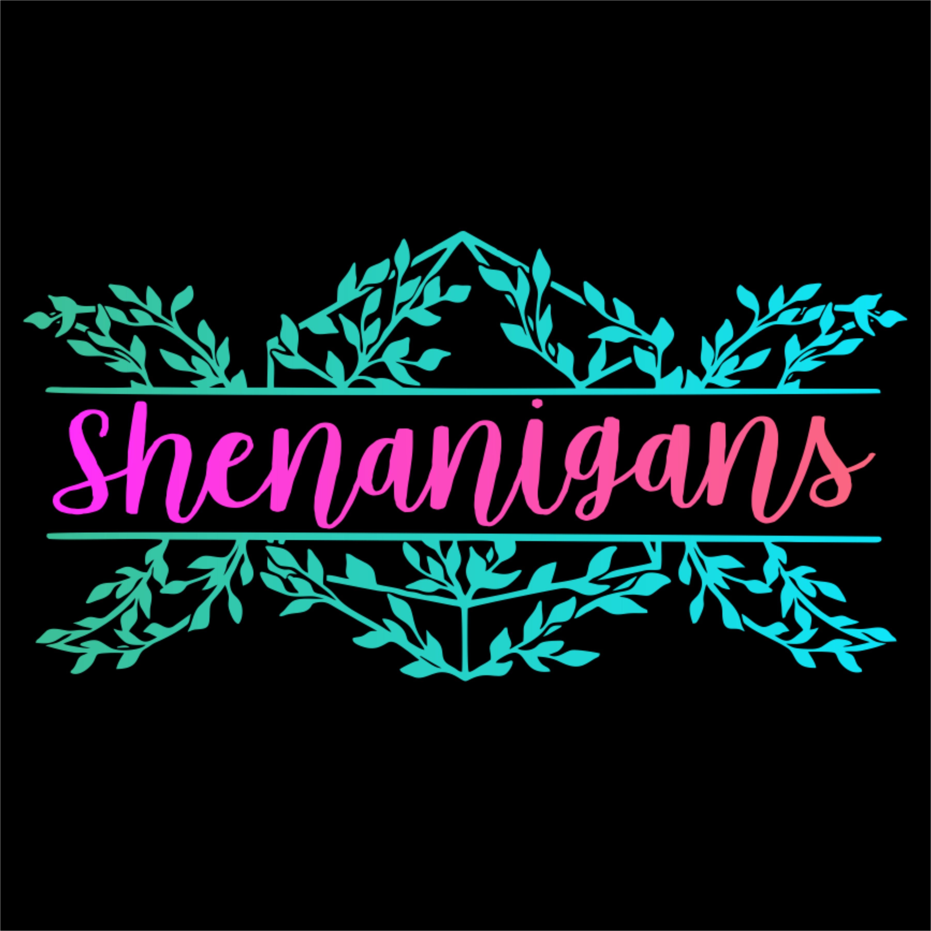 Shenanigans LLC
